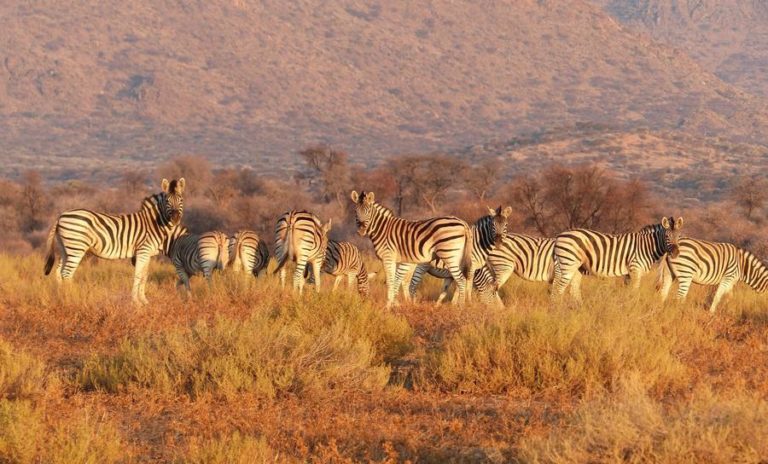 5 Ways Drones Are Transforming Life Across the Planet - The Sociable