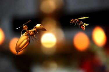 Nature is Intelligent: Pentagon Studies Insects for AI Biomimicry ...