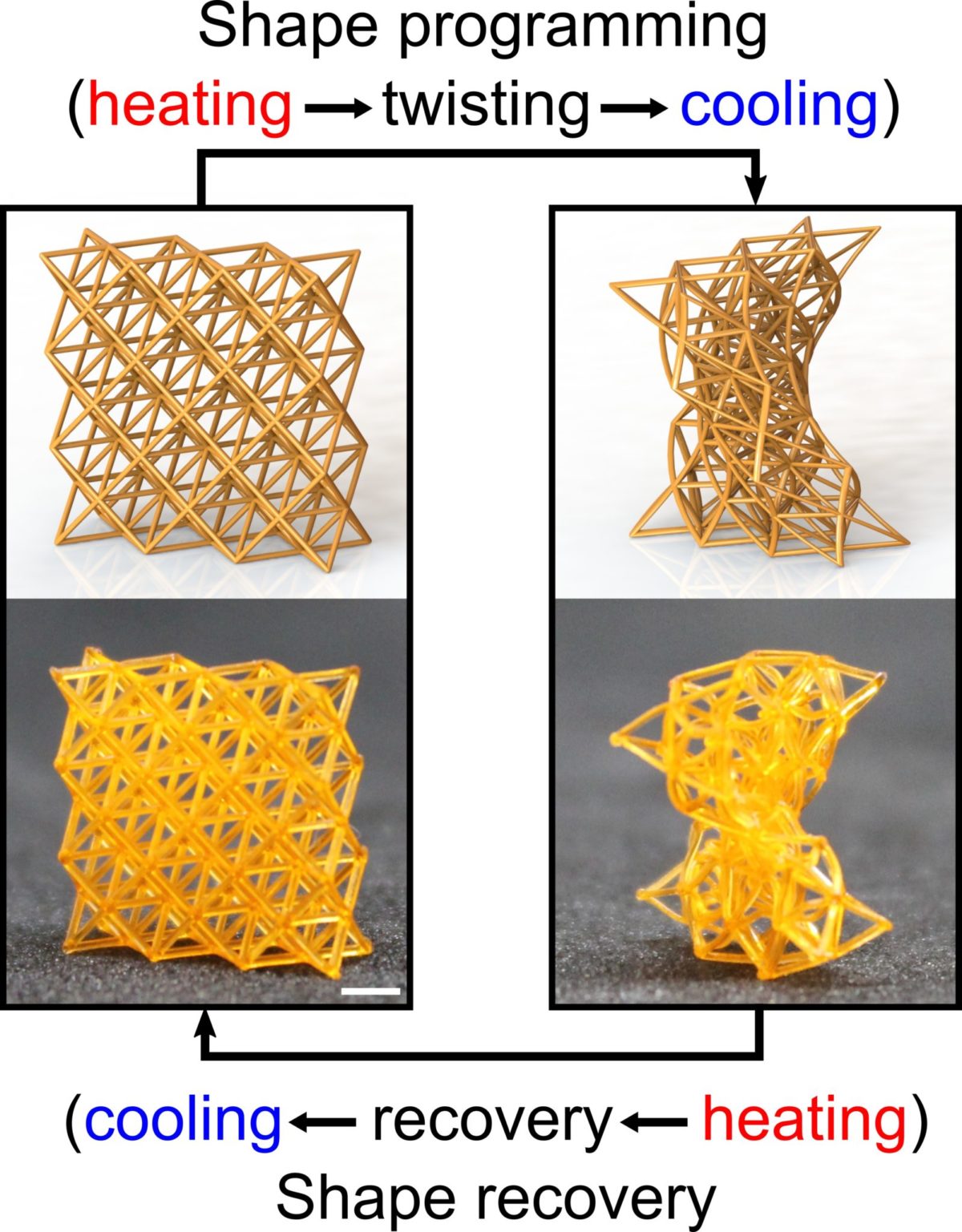 4D Printing to Put 3D in the Shade