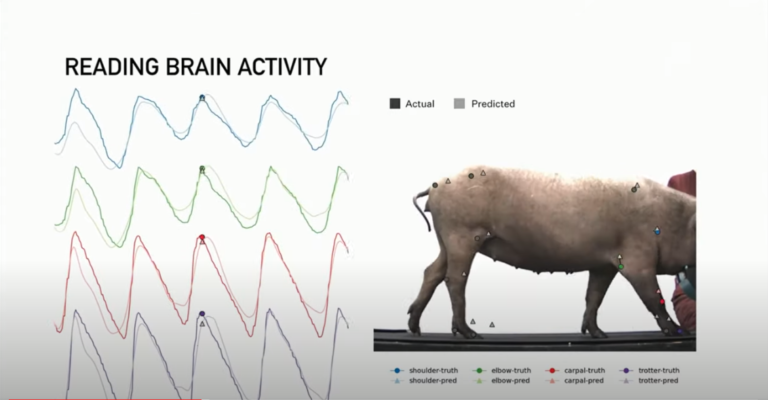 5 Takeaways from Elon Musk's Neuralink Demo with the Three Little Pigs