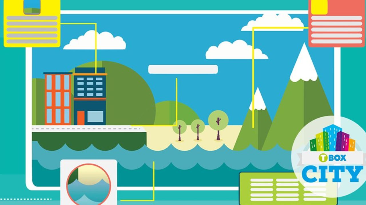 Tbox Academy S/M Taiwan Pigeon Foldable Training Box Tbox Cage Plastic