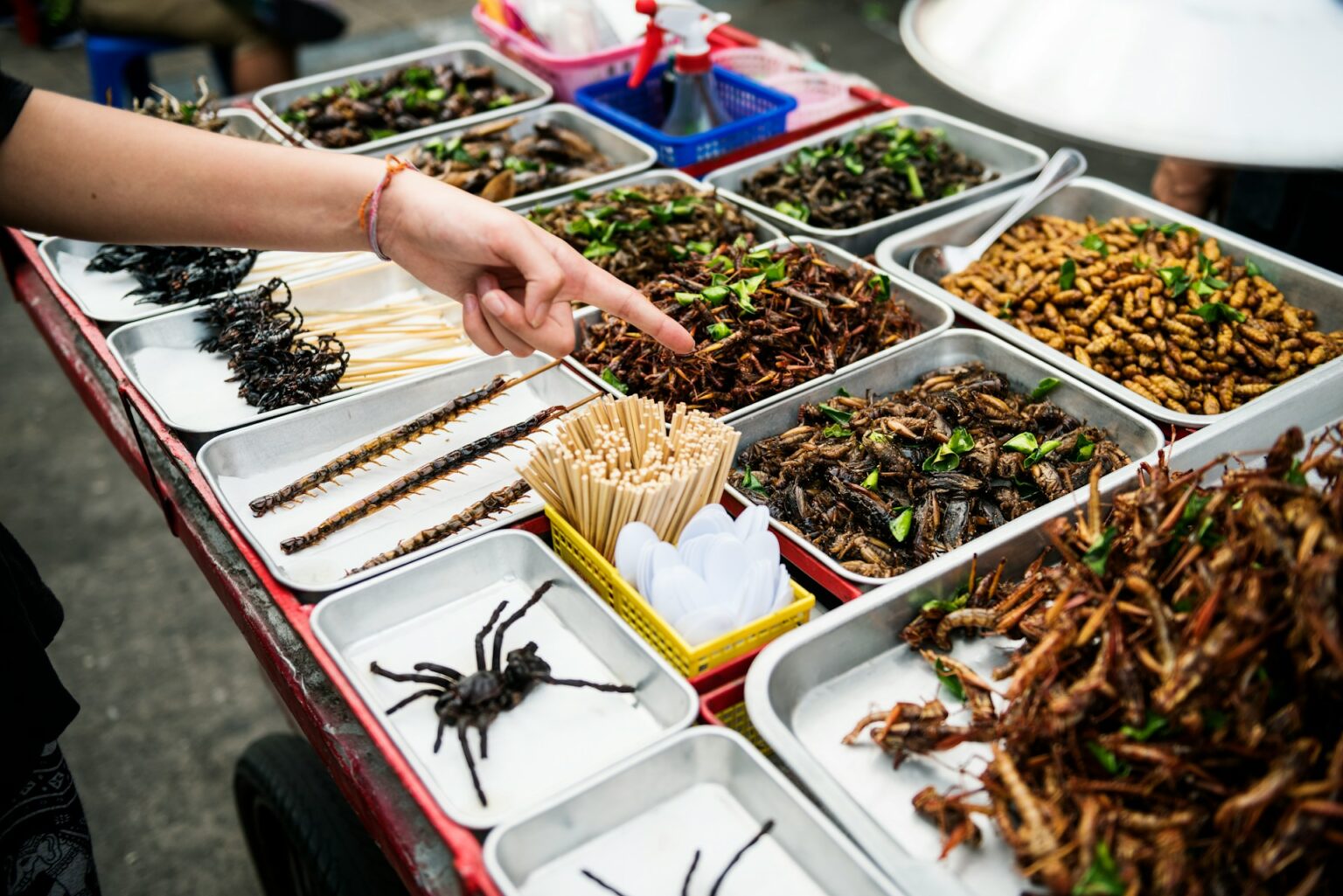 WEF 'Eat the Bugs' Fake Meat Agenda Moves to Reduce Meat Consumption in ...