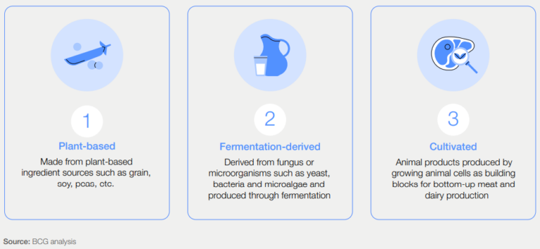 WEF 'Eat the Bugs' Fake Meat Agenda Moves to Reduce Meat Consumption in ...